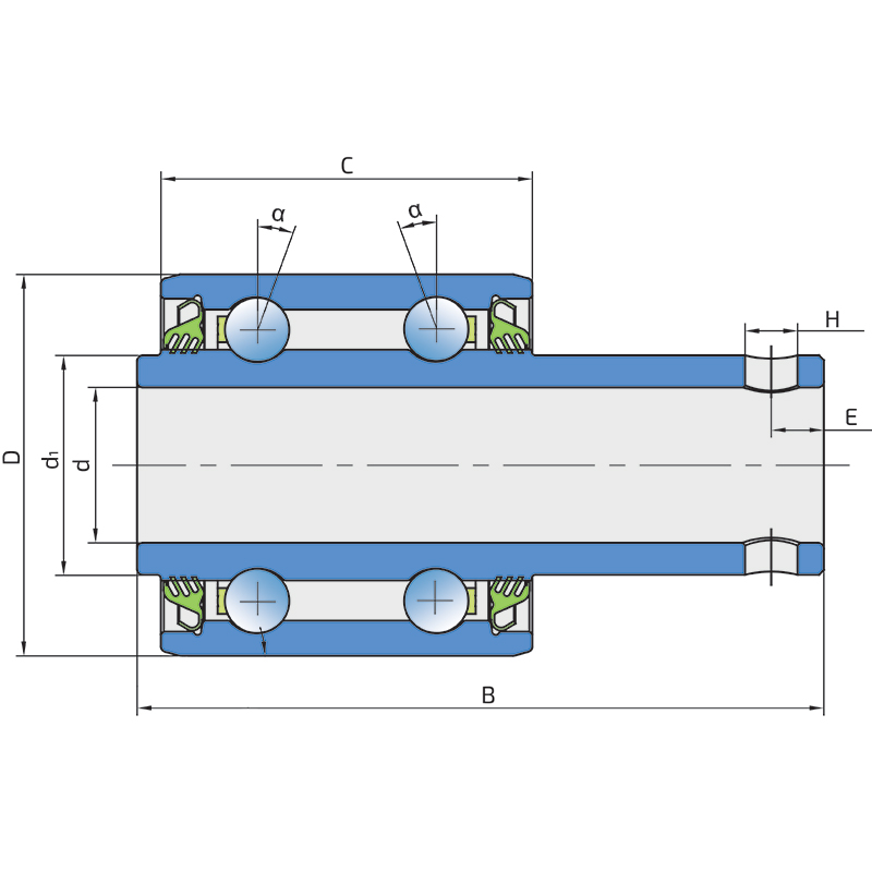Bearing FKL SL2 5203.B-2T | FKL Czech